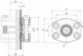 Z-TTO-50x5-6S11/2-M16-C19
